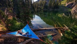 Tentsile Tree Tents Reviewed: Elevate Your Camping Experience