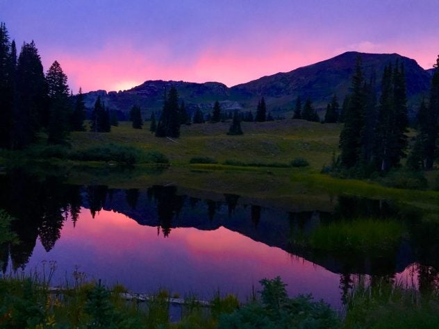 Catch the Wildflowers Bloom at These 8 Camping Destinations