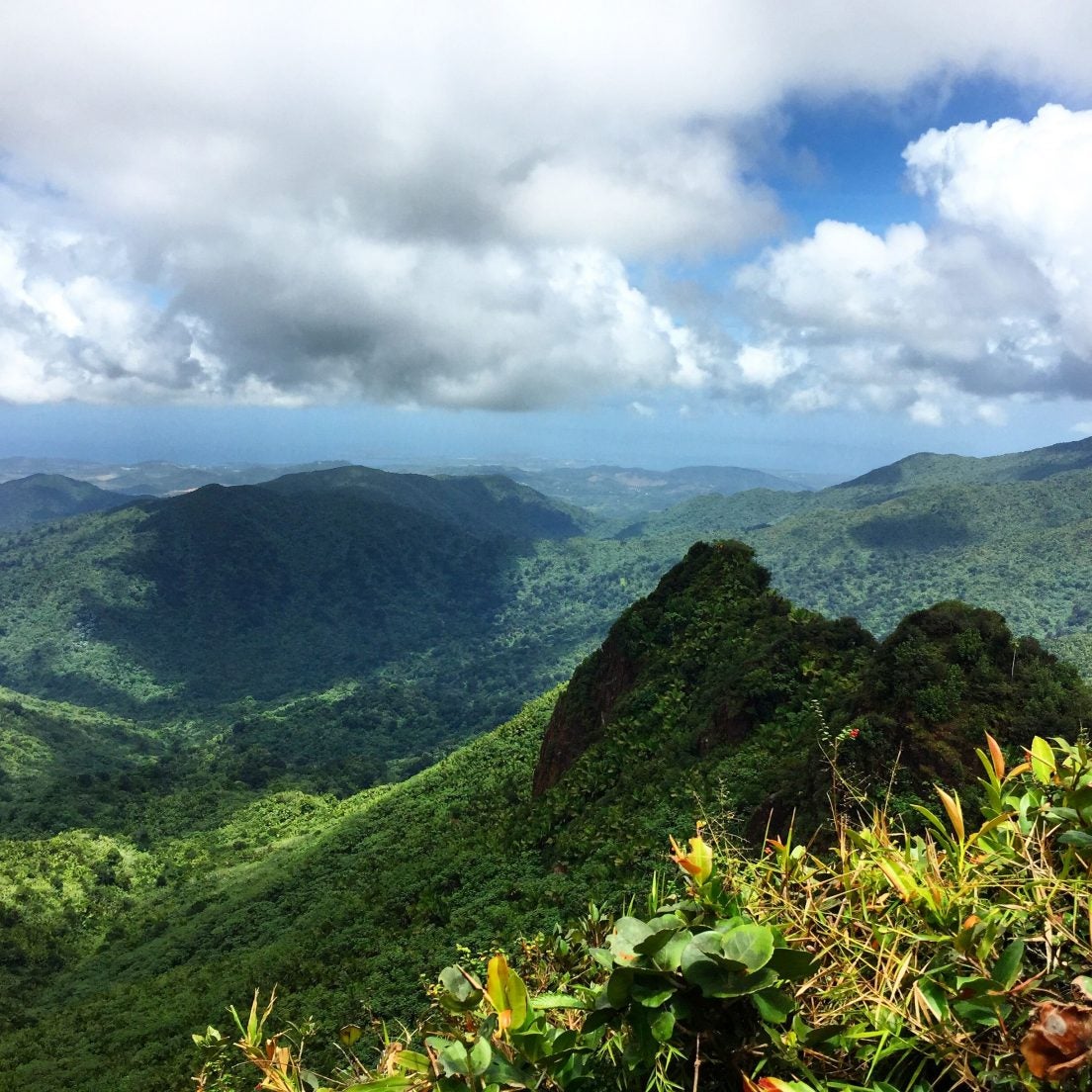 6 Mythical Beasts and the National Parks They Call Home
