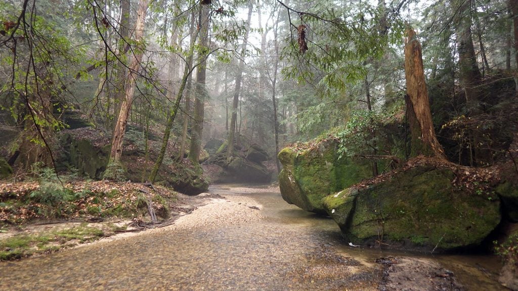 Dismals Canyon: An Oasis of Glowing Insects, Glamping Cabins, & Fun