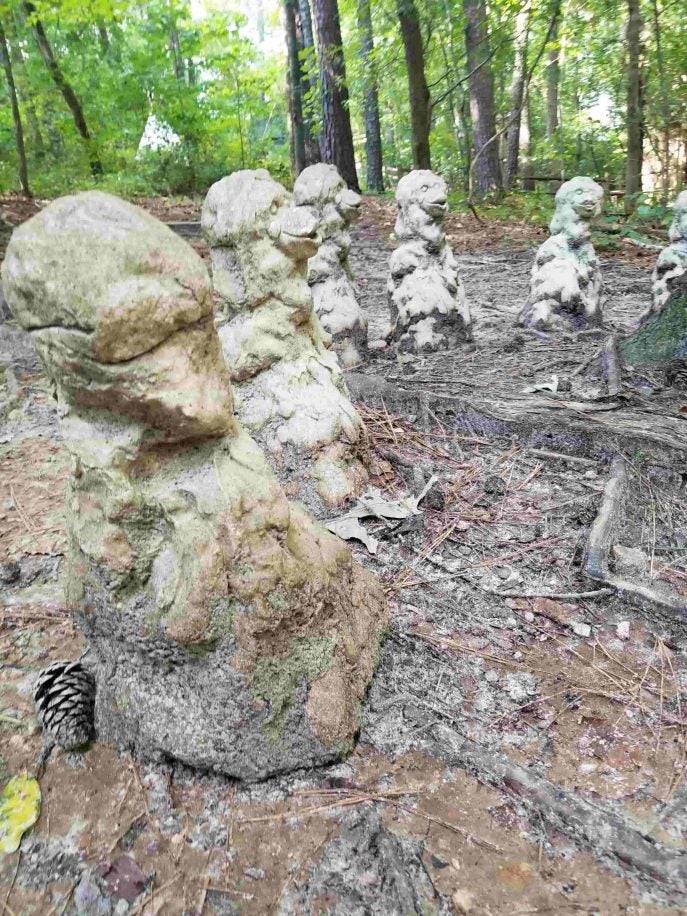 Remnants of a "Monkey Massacre" Haunt This Georgia Trail