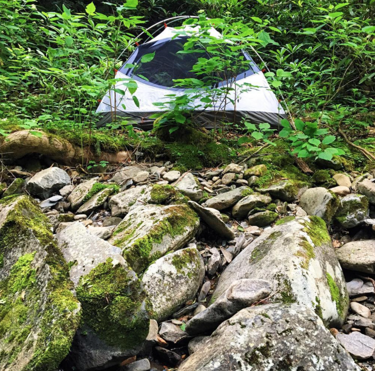 Great Smoky Mountains Camping: (Almost) Everything You Need to Know