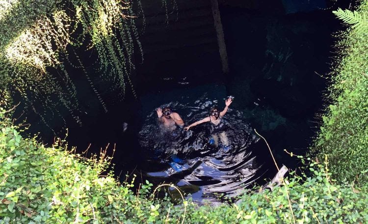 Devil's Den Florida: A Guide to Exploring the Prehistoric Spring