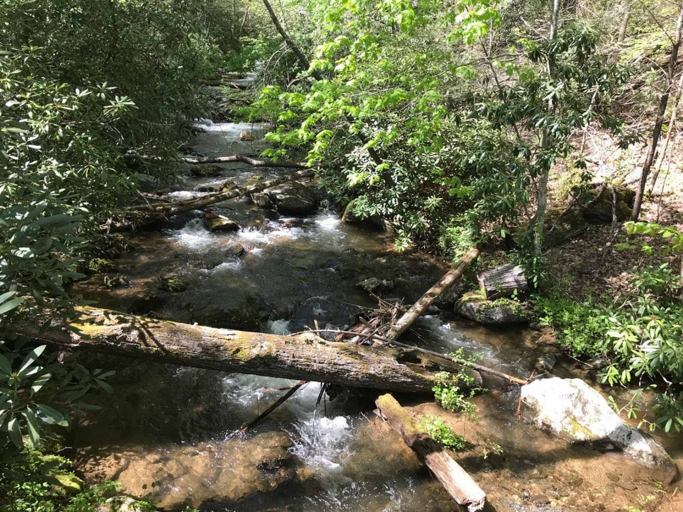 Raven Cliff Falls Camping, Trails, and More | Visitor's Guide