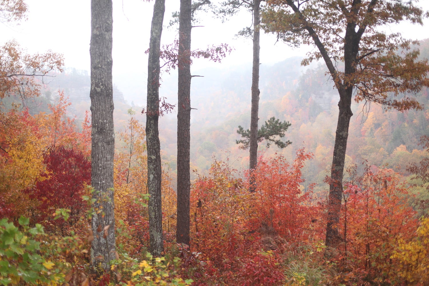 9 of the Best Red River Gorge Camping Desintations in Kentucky