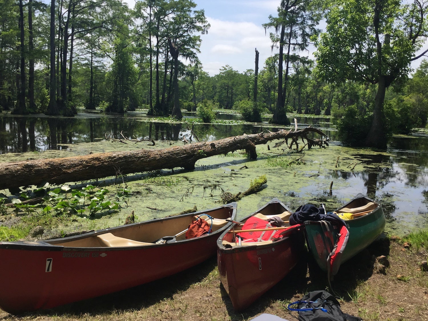 Best 7 Paddle-In Campgrounds for Canoeing or Kayaking in NC