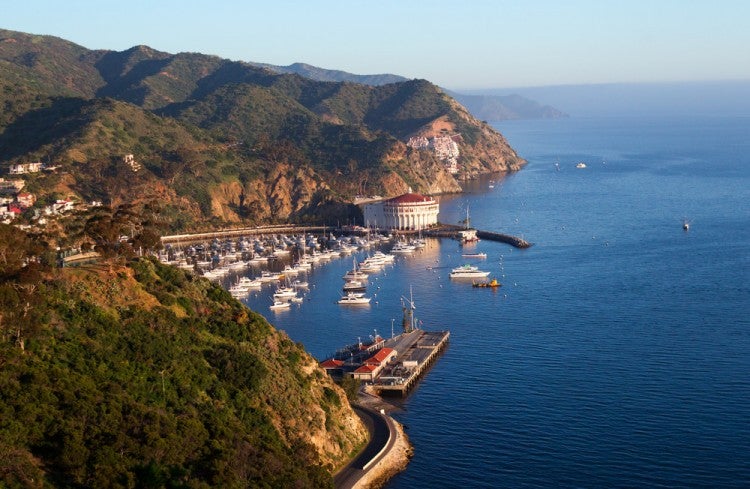 How to Make the Most of Your Santa Catalina Island Camping Trip