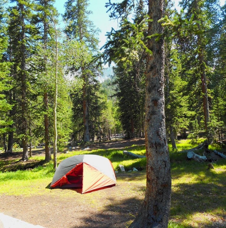 Where to Camp Along Nevada's Route 50, the "Loneliest Road in America"