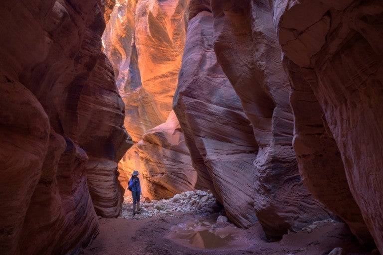7 Stunning Utah Slot Canyons You Can Squeeze into This Spring