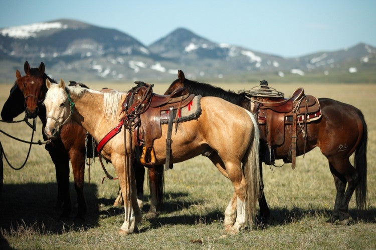 16 Dude Ranch Vacations That Let You Live Your Wild Western Dreams