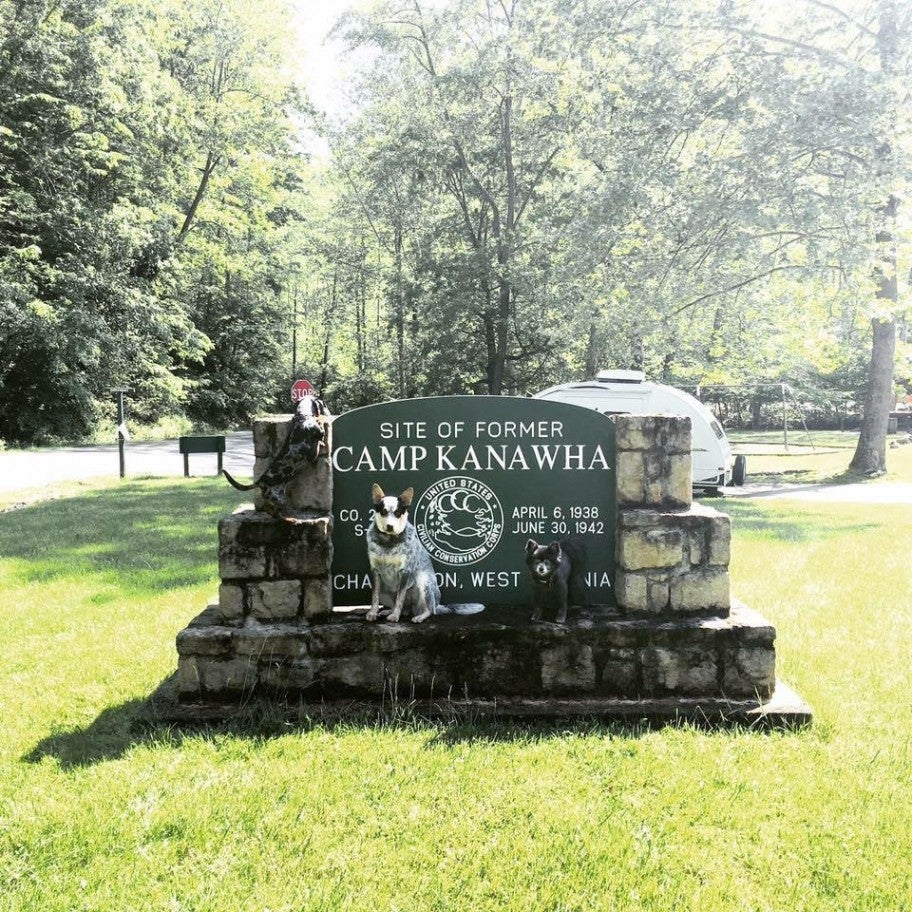 Your Ultimate Guide to New River Gorge Camping, Climbing and Rafting