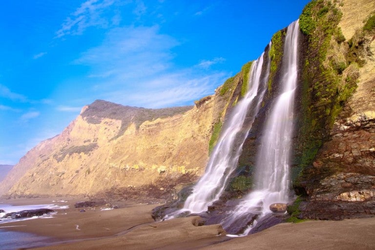 Explore the Bay Area Backcountry with Point Reyes Camping