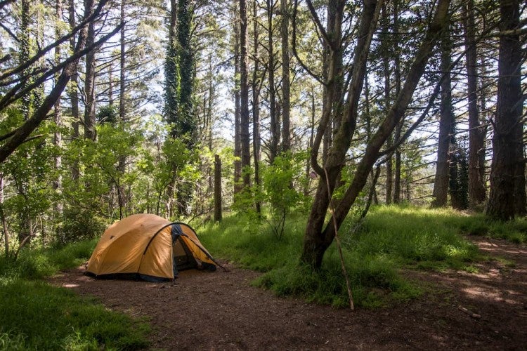 Explore the Bay Area Backcountry with Point Reyes Camping
