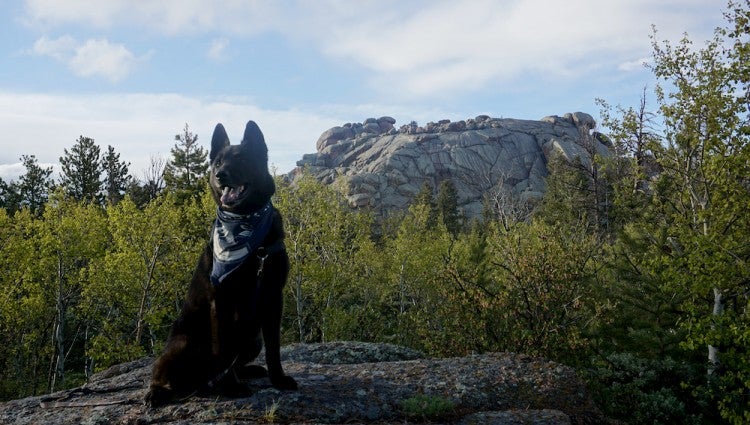 Wyoming RV Camping Guide For A Wild West Adventure