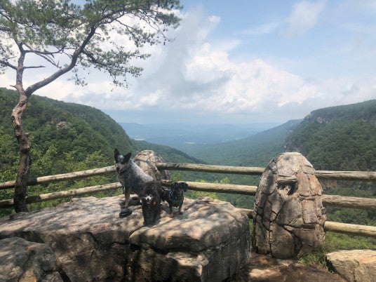 16 Spots For Camping Around Chattanooga To Explore Tennessee 16 Spots For Camping Around Chattanooga To Explore Tennessee