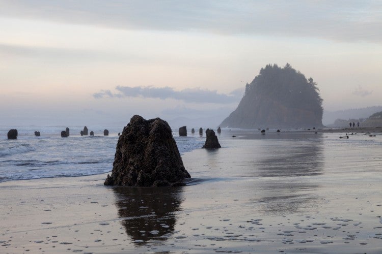 Where to Make the Most of The Low Tide in Oregon This Summer