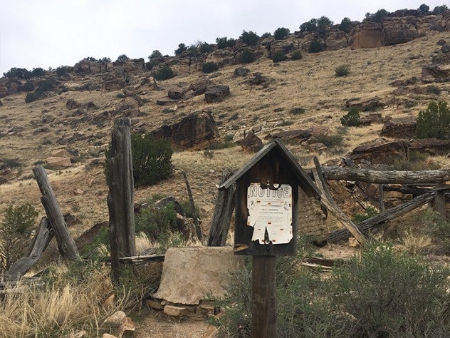 Hike Around Dinosaur Tracks in Colorado's Picketwire Canyonlands