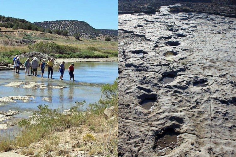 Hike Around Dinosaur Tracks in Colorado's Picketwire Canyonlands