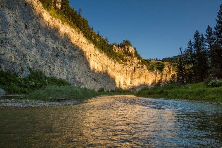 Montana Fly Fishing Trips That Will Enhance Your Camping Experience