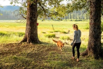 Why You Should Try a Dog Leash “Zip Line” At the Campground