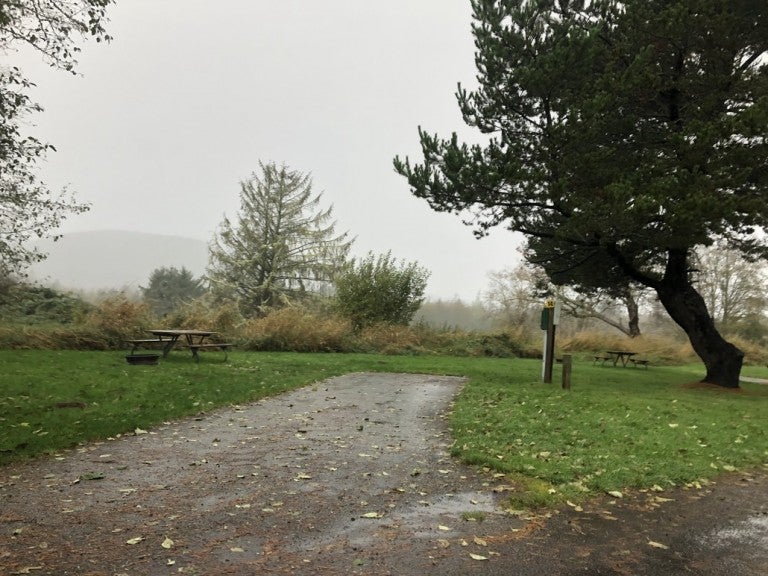5 Peaceful Places to Find Camping around Cannon Beach