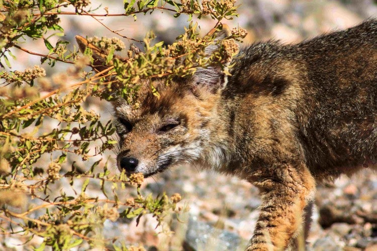 8 Nature Documentaries on Netflix to Watch From Your Couch This Winter