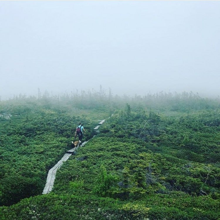 New Hampshire's White Mountain Camping Offers Adventure & Wilderness