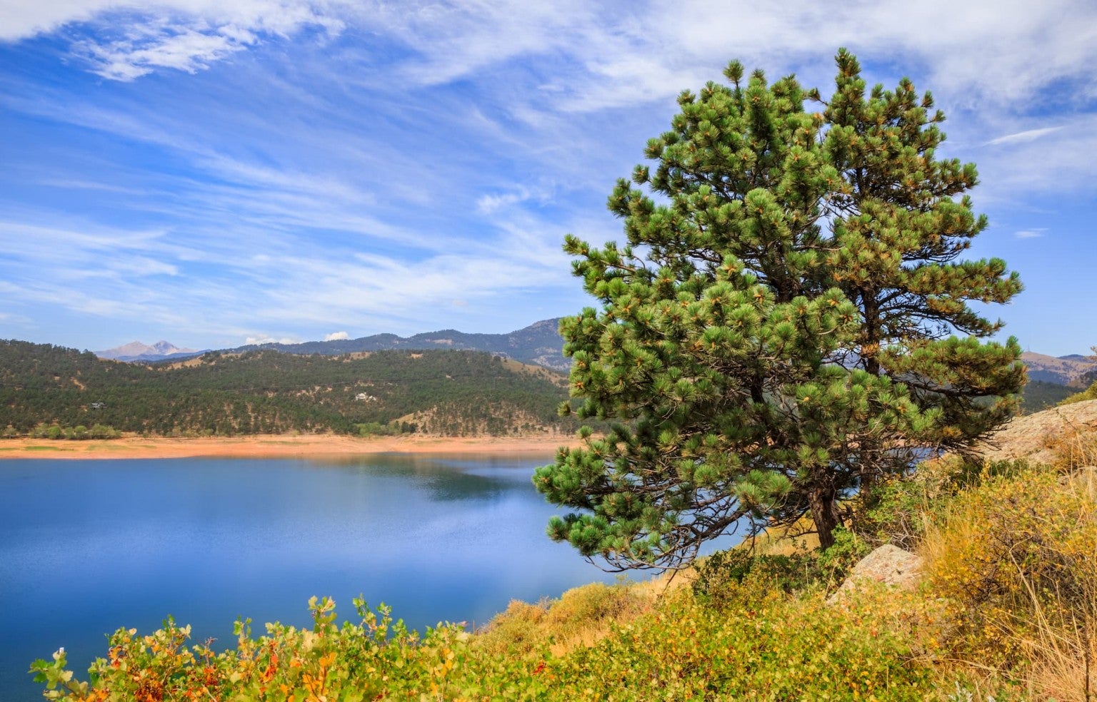 The Best Camping around Colorado's Popular Carter Lake