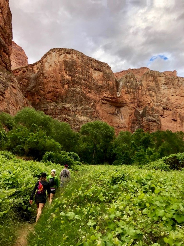 Traverse the Best of the Southwest on the 800-Mile Arizona Trail