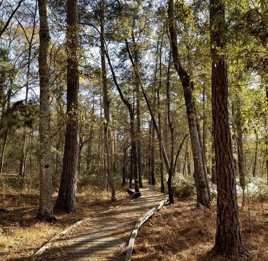 See it All Down South on the Lone Star Hiking Trail