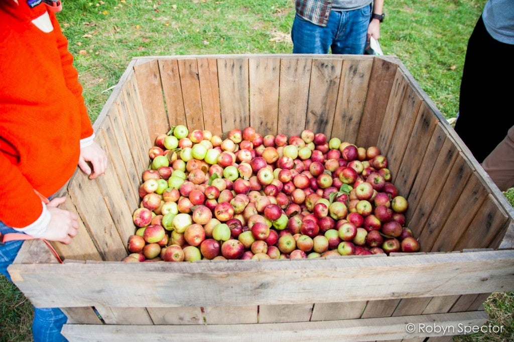 Breakneck Ridge is New York's Adventure Destination