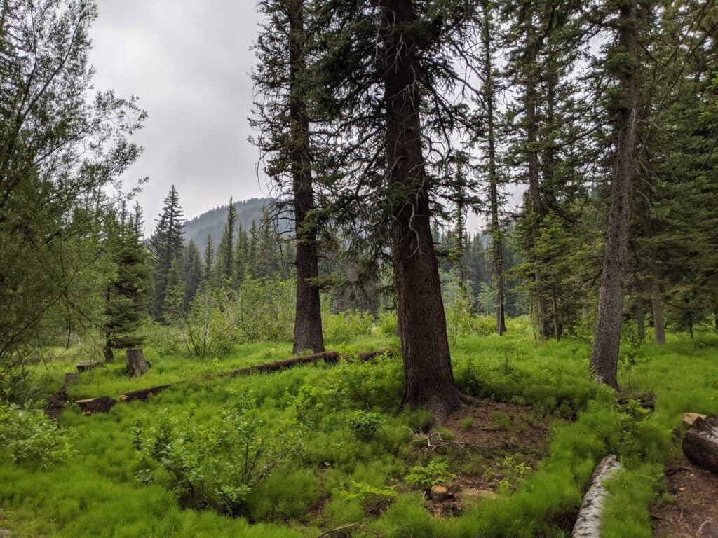 7 Sites for Camping near Salt Lake City: Northern Utah's Mountains Await