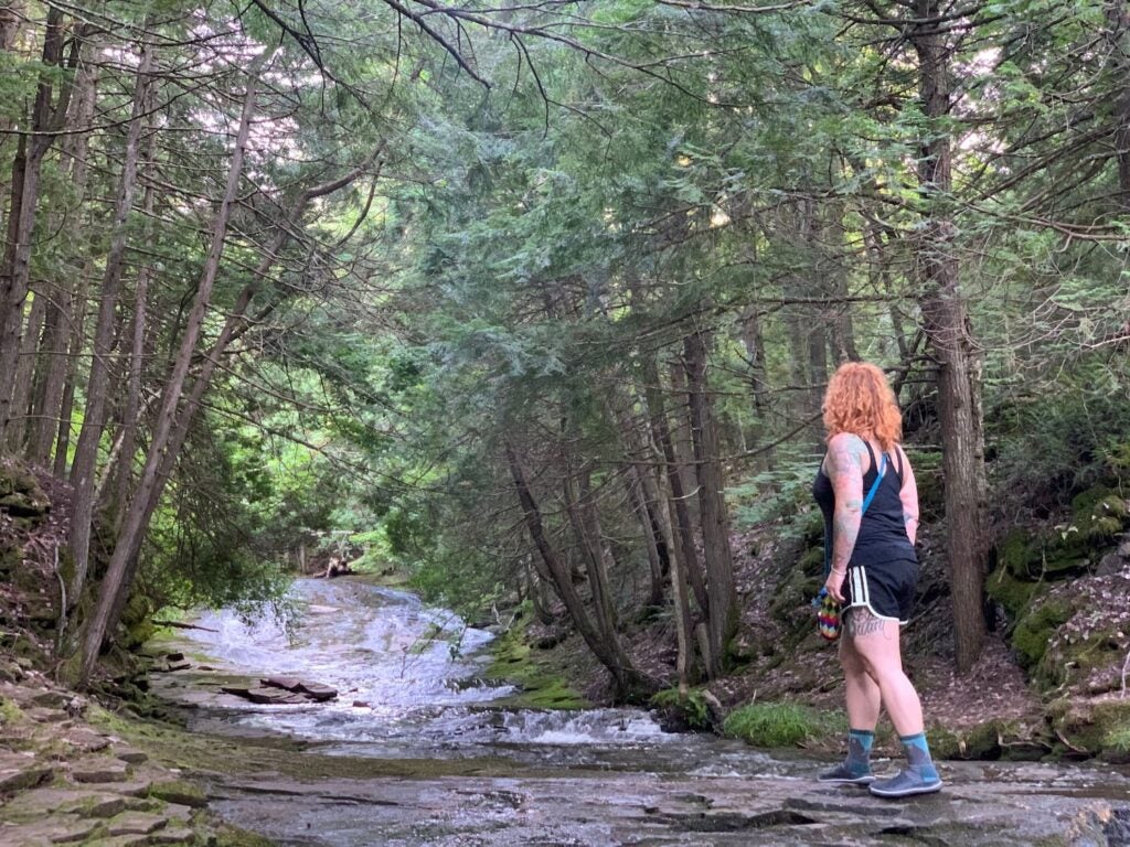 7 Porcupine Mountains Camping Spots to Enjoy the Wilderness