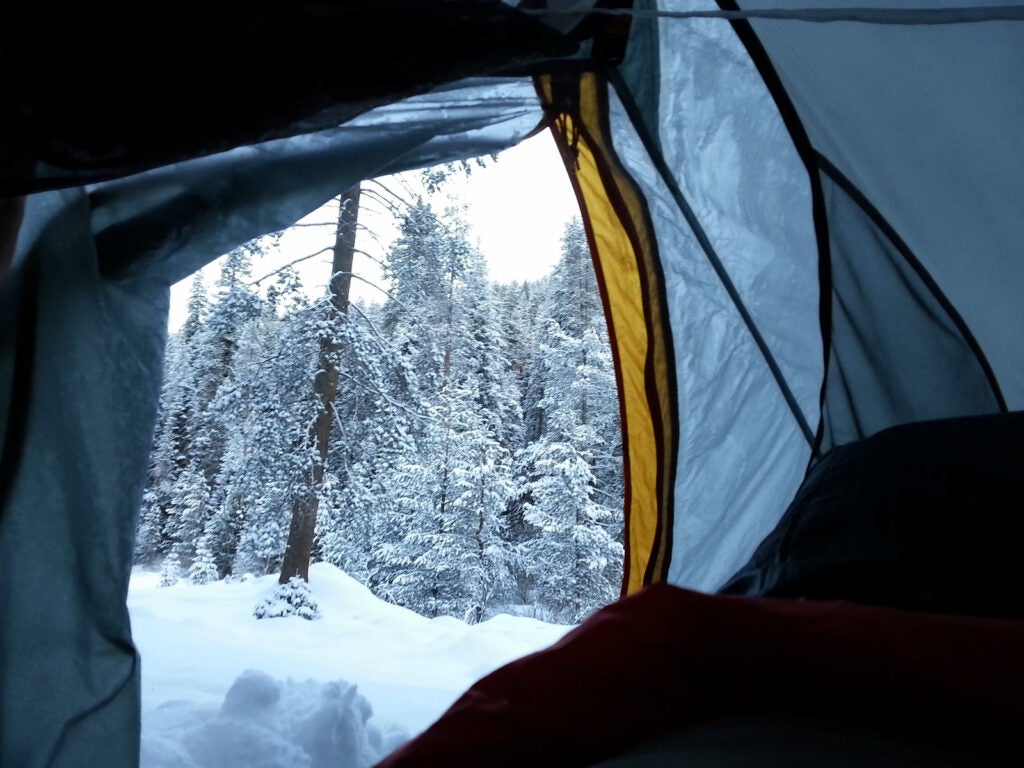 Awe at the World’s Largest Trees at these 7 Sequoia National Forest ...