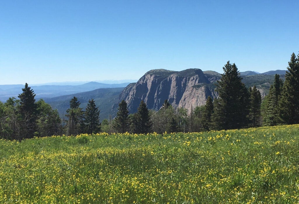 Carson National Forest Camping: 7 Campgrounds in Northern New Mexico