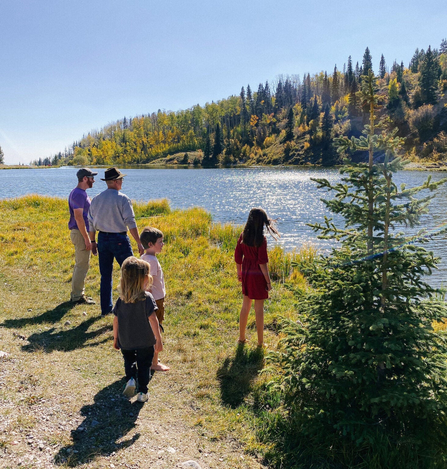 Carson National Forest Camping: 7 Campgrounds in Northern New Mexico