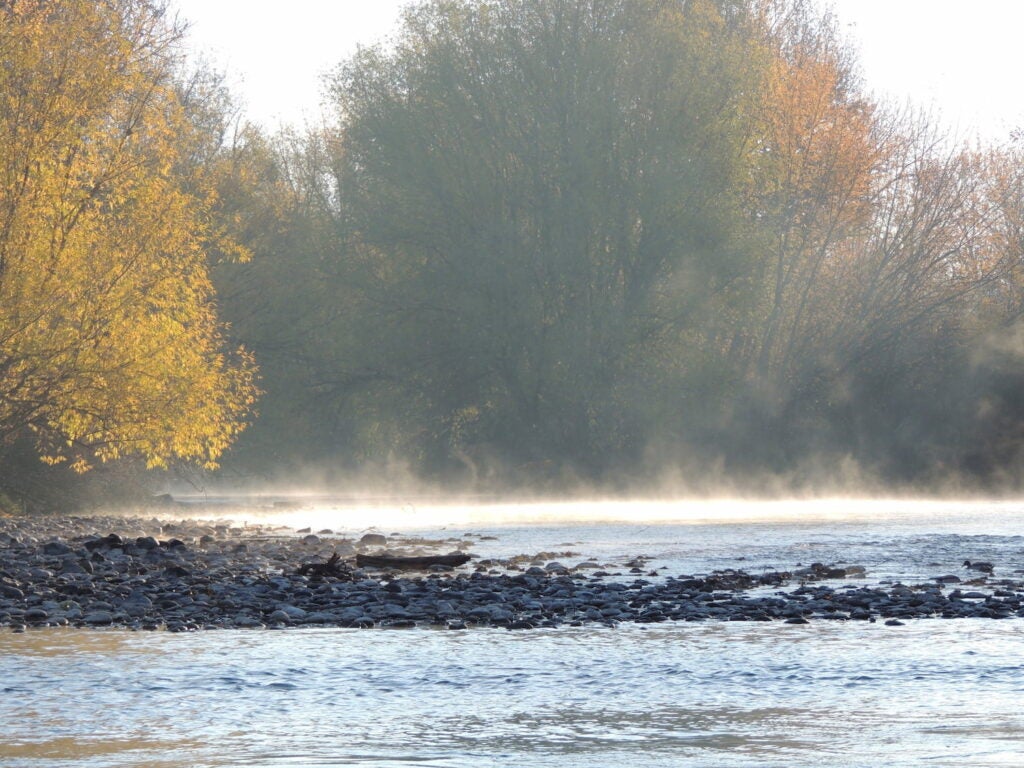 RV Camping Boise Idaho: 7 Relaxing Spots to Park Your Rig