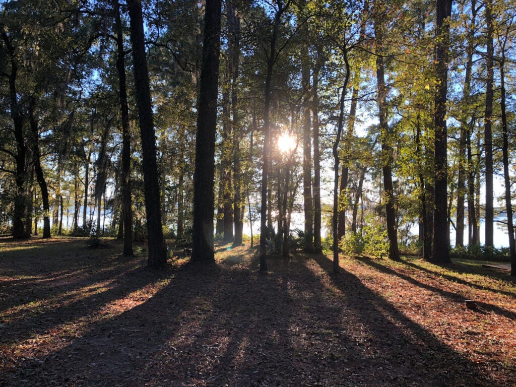 6 Sam Houston National Forest Camping Sites for a Weekend Getaway