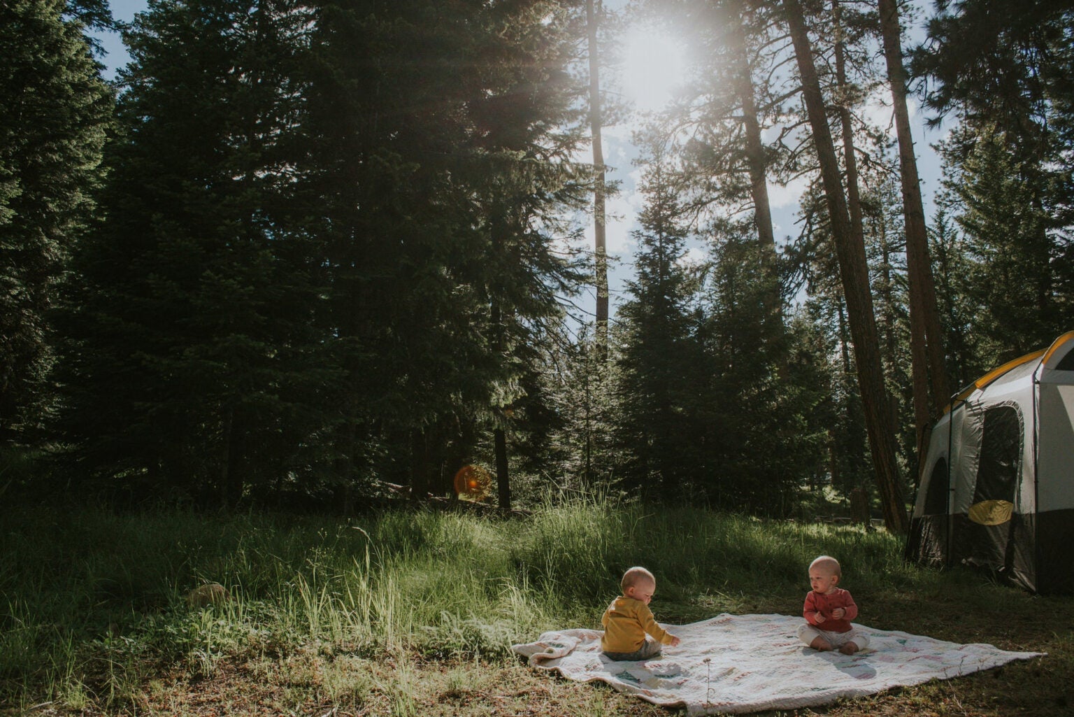 Explore Oregon at These 4 Ochoco National Forest Camping Spots