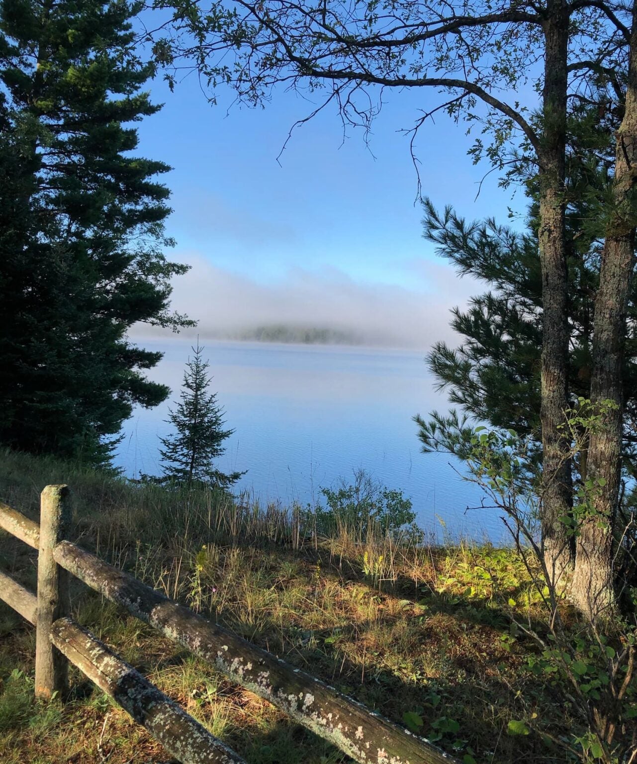 National Forest Camping in Michigan: 8 Beautiful Locales