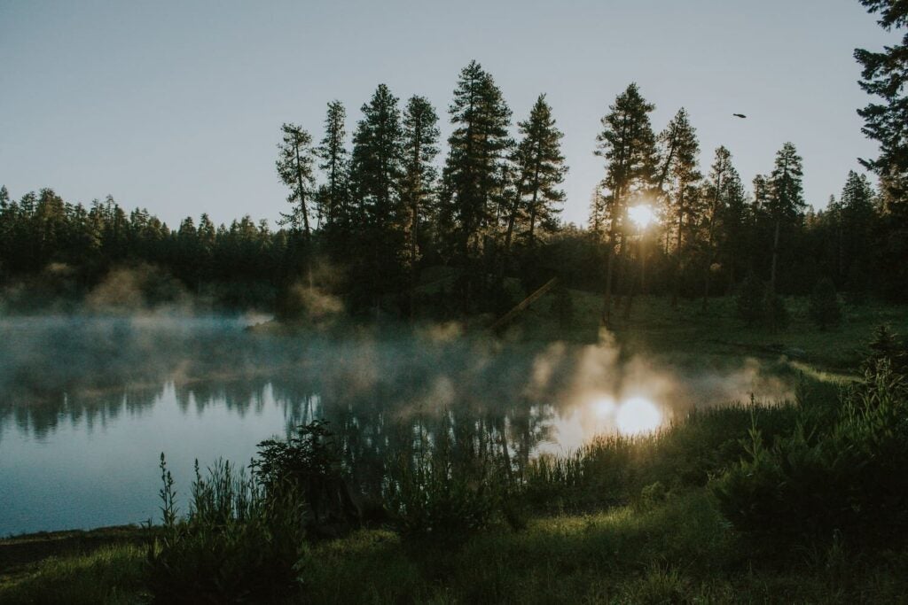Explore Oregon at These 4 Ochoco National Forest Camping Spots