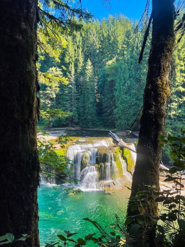8 Beautiful Gifford Pinchot National Forest Camping Sites