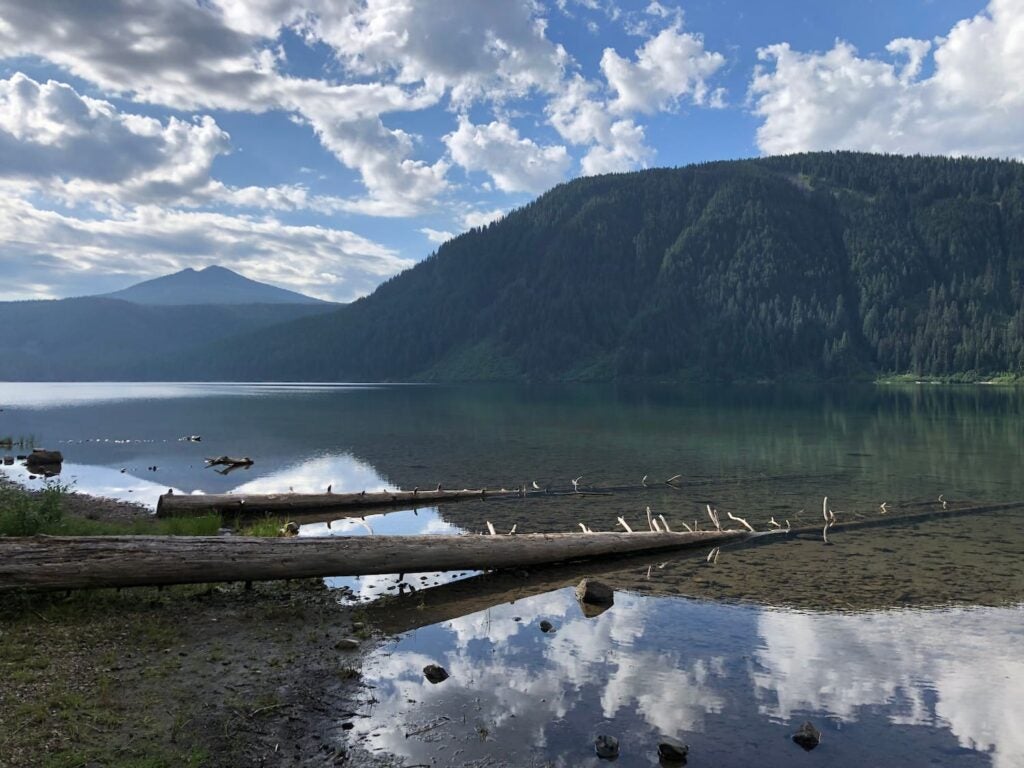 8 Beautiful Gifford Pinchot National Forest Camping Sites