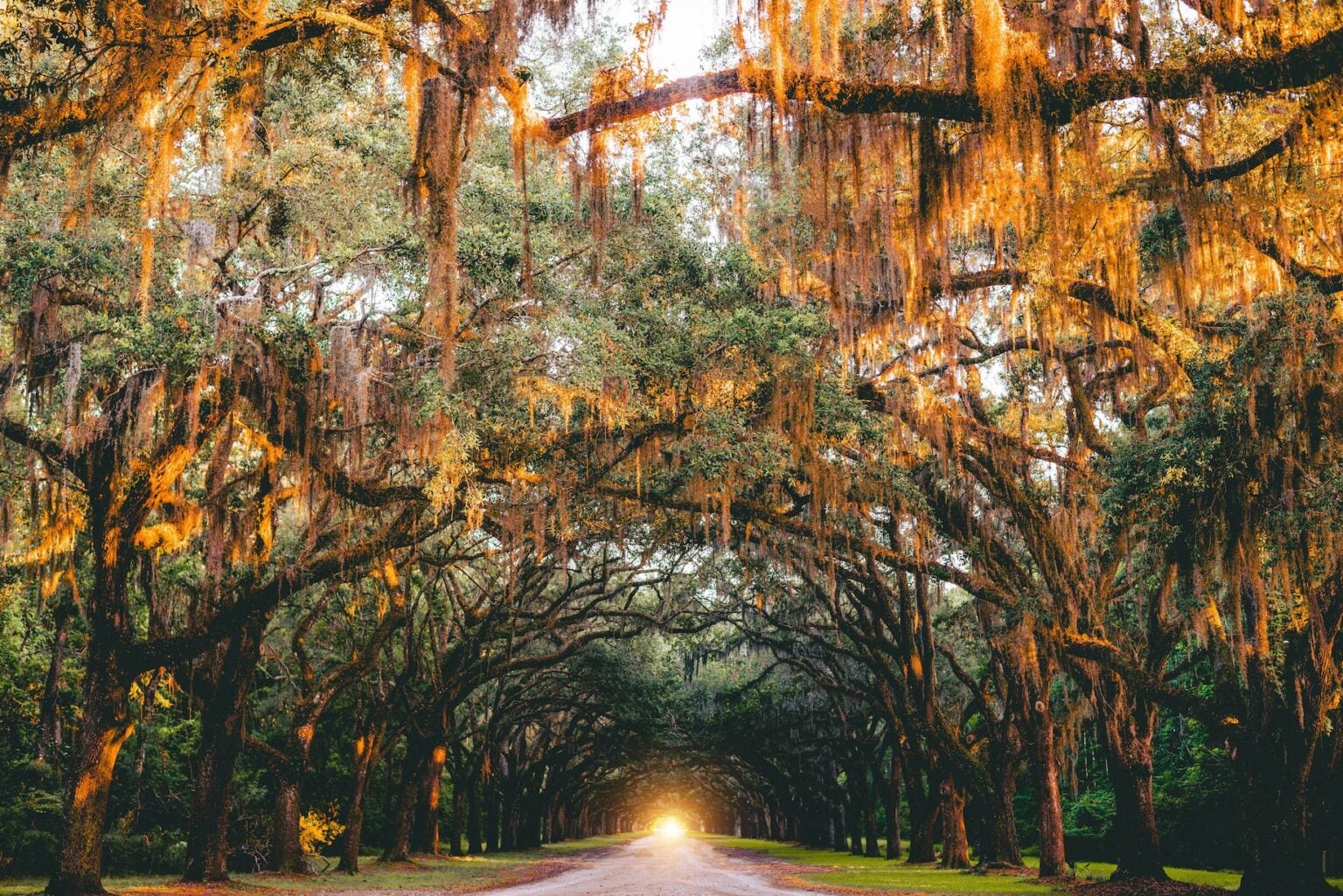 Atlantic Coast Highway Road Trip